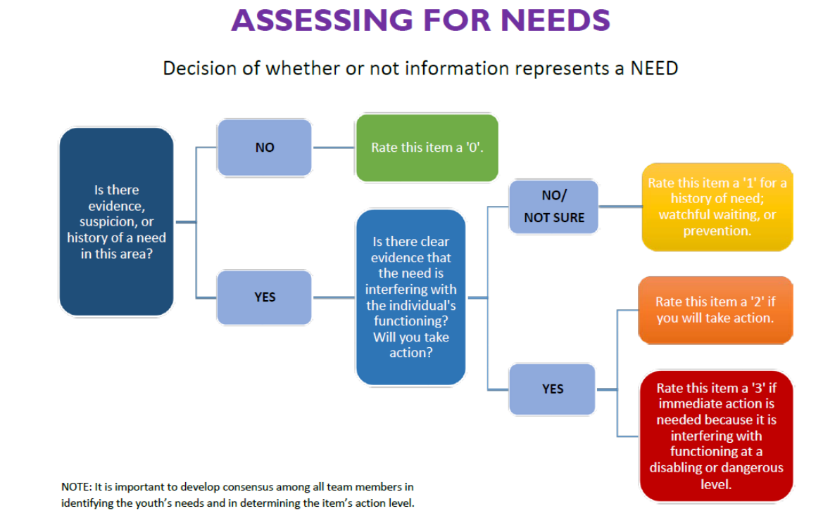 Strengths and Needs: Action Levels Explained – CANS-NY Institute ...
